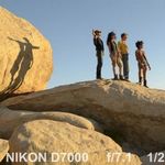 Watermark or not to watermark